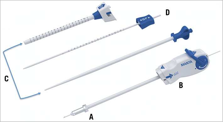 MANTA, a novel plug-based vascular closure device for large bore ...