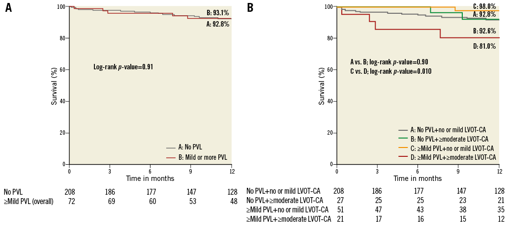 Optimal sizing for SAPIEN 3 transcatheter aortic valve replacement in ...