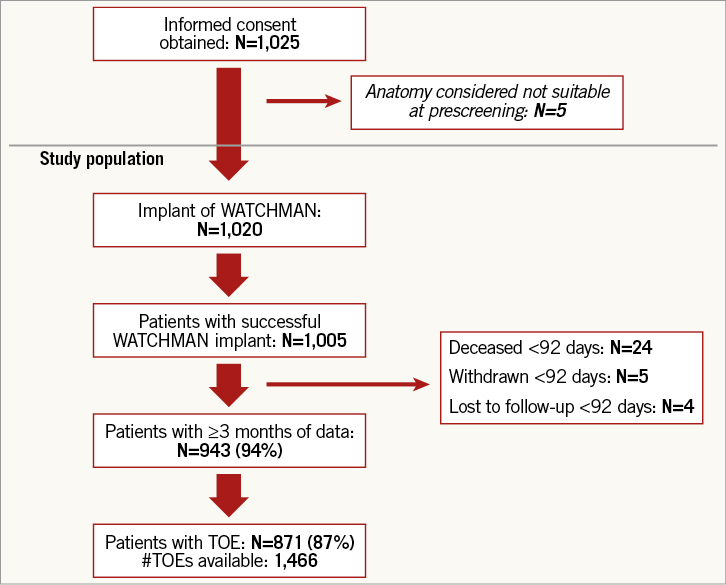 Safety and efficacy of early anticoagulation drug regimens after ...