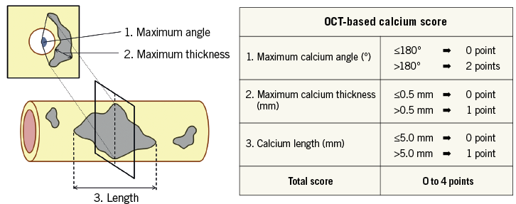 A new optical coherence tomography-based calcium scoring system to ...