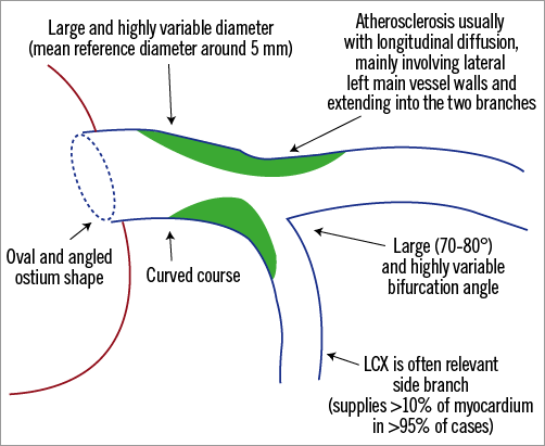 Percutaneous coronary intervention in left main coronary artery disease ...
