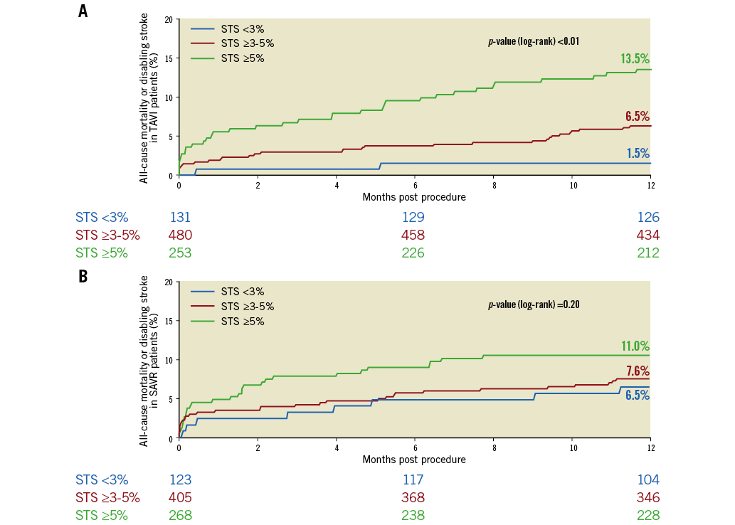 One-year outcomes of patients with severe aortic stenosis and an STS ...