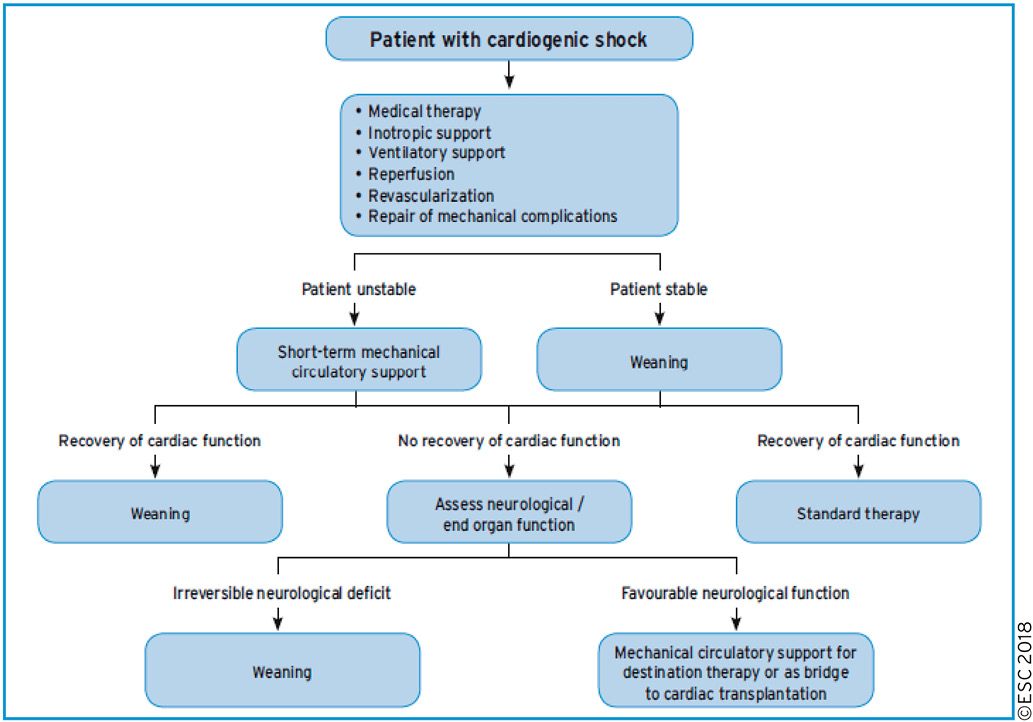 2018 ESC/EACTS Guidelines on myocardial revascularization ...