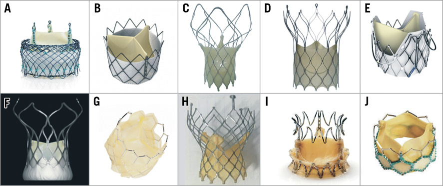 The evolution of device technology in transcatheter aortic valve ...