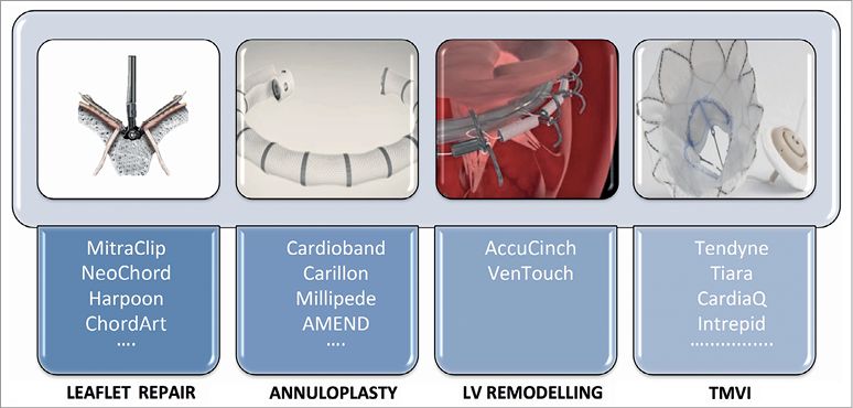 Interventional cardiology 2018: the year in review - EuroIntervention