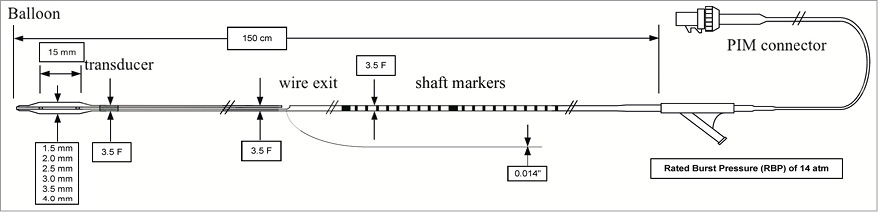 First-in-human experience using the Volcano VIBE-RX vascular imaging ...