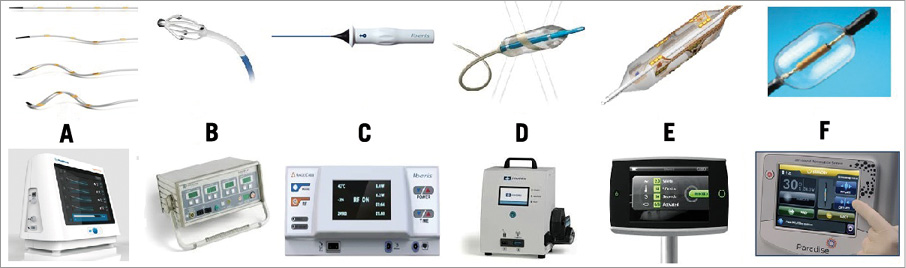 What the interventionalist should know about renal denervation in ...