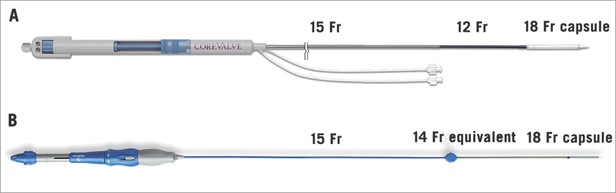 First-in-human experience with the Medtronic CoreValve Evolut R ...