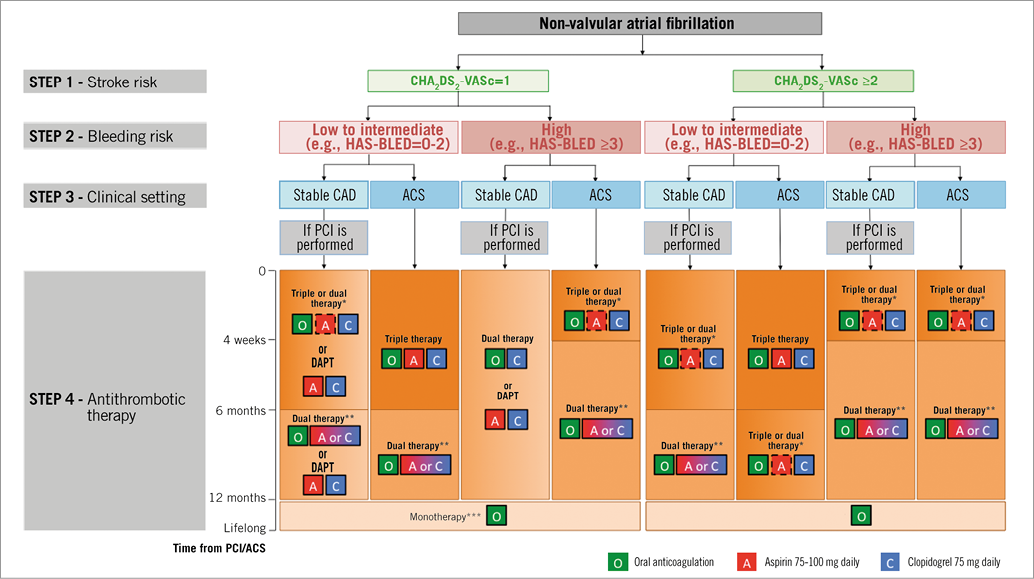 Triple antithrombotic therapy in atrial fibrillation patients with ...