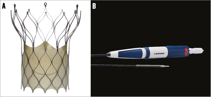 Thirty-day VARC-2 and performance data of a new self-expanding ...