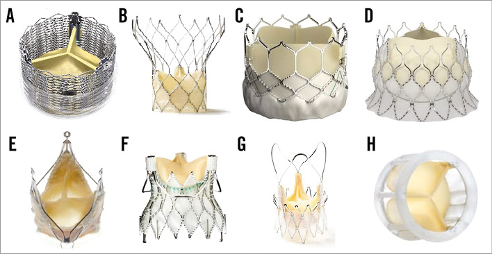 A systematic review on the safety of second-generation transcatheter ...
