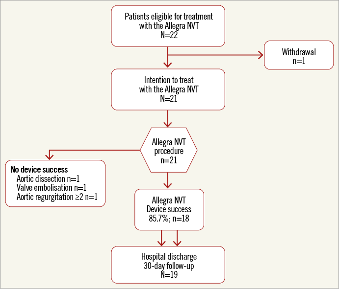 Transcatheter aortic valve implantation with the NVT Allegra ...