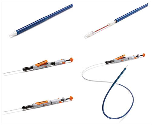 Transcatheter aortic valve implantation with the NVT Allegra ...