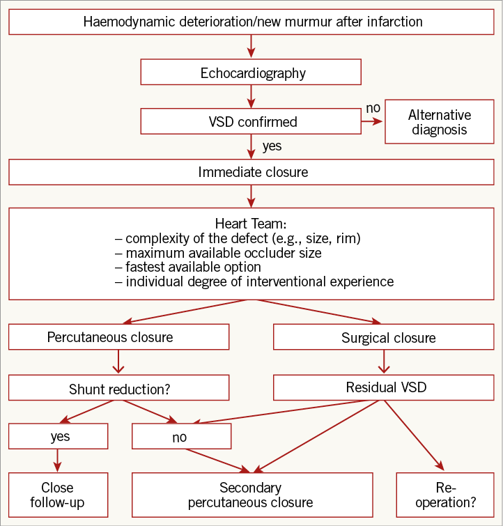 Interventional post-myocardial infarction ventricular septal defect ...