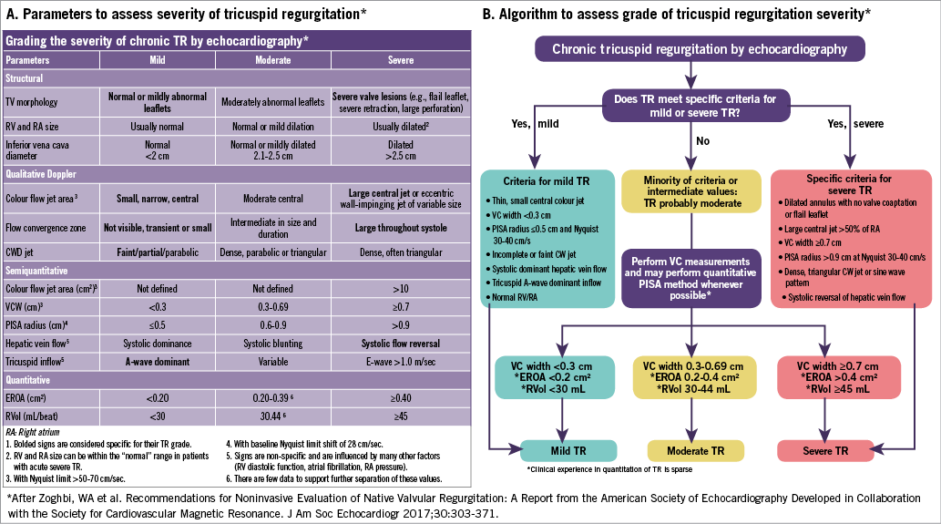 Tricuspid regurgitation: what is the real clinical impact and how often ...