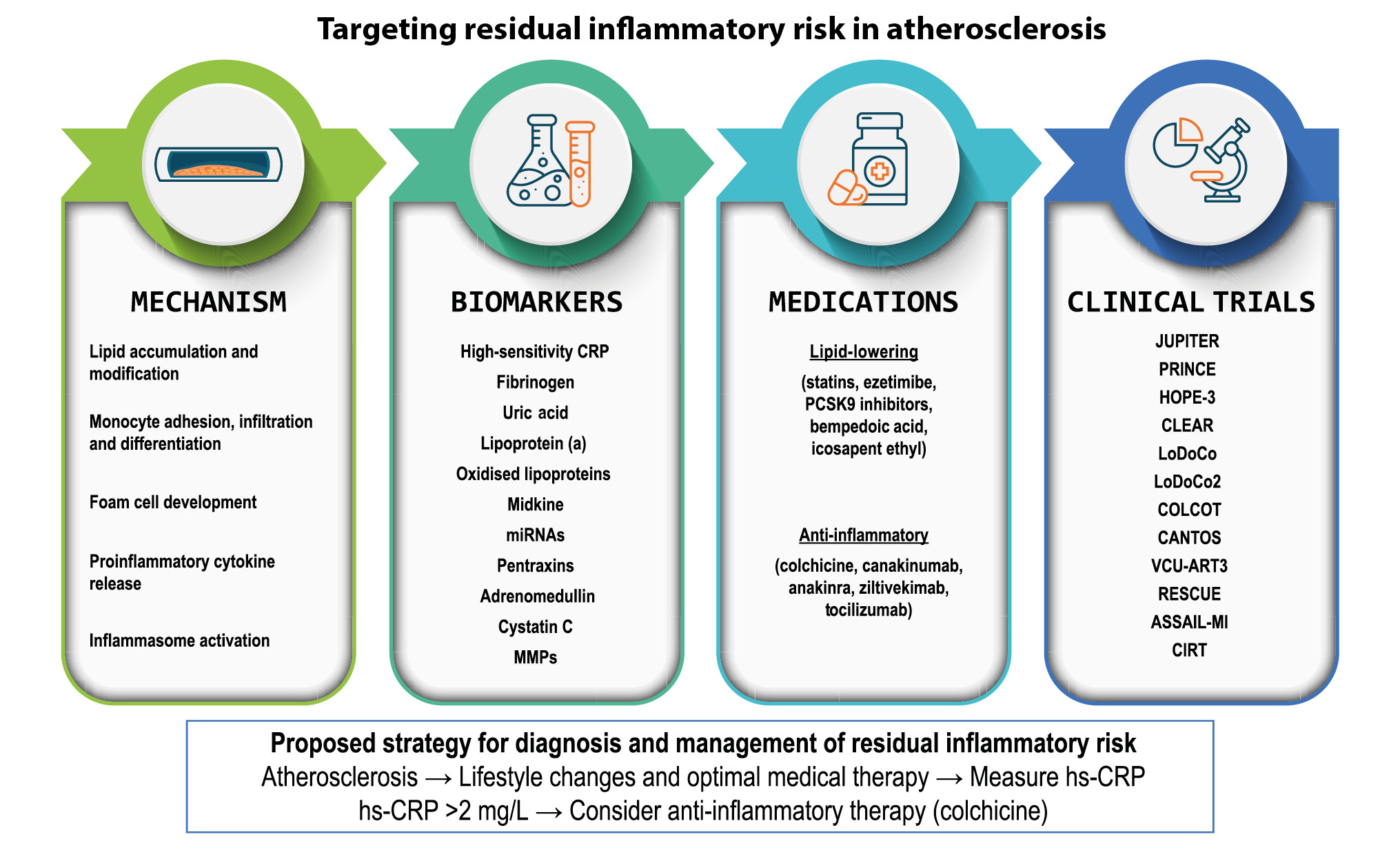 Targeting inflammation in atherosclerosis: overview, strategy and ...