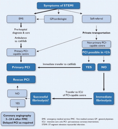 STEMI treatment in areas remote from primary PCI centres - EuroIntervention
