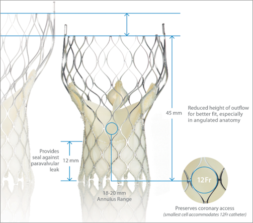 Medtronic Corevalve Evolut Valve Eurointervention