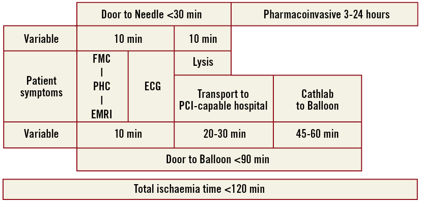 Stent for Life Initiative: leading example in building STEMI systems of care in emerging ...