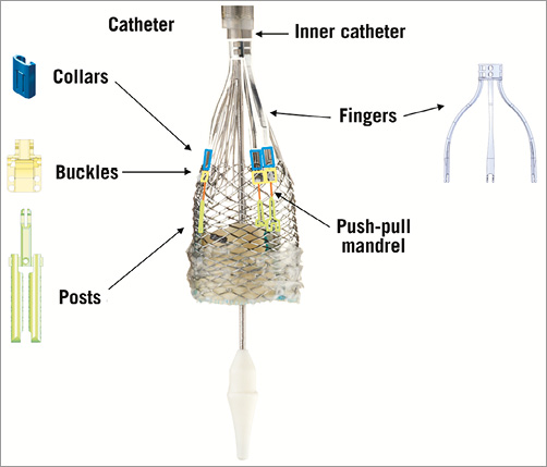 New-generation TAVI devices: description and specifications ...