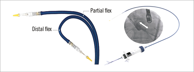 New-generation TAVI devices: description and specifications ...