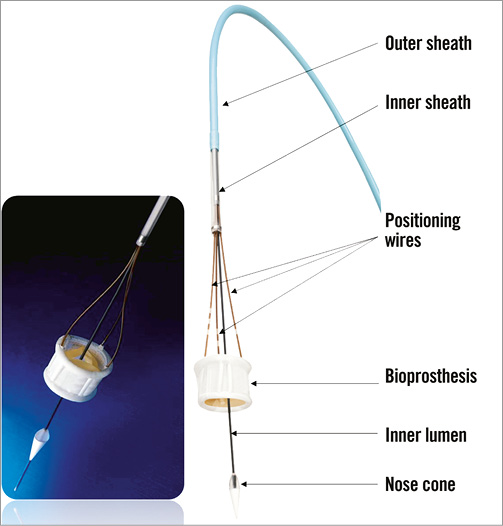 New-generation TAVI devices: description and specifications ...