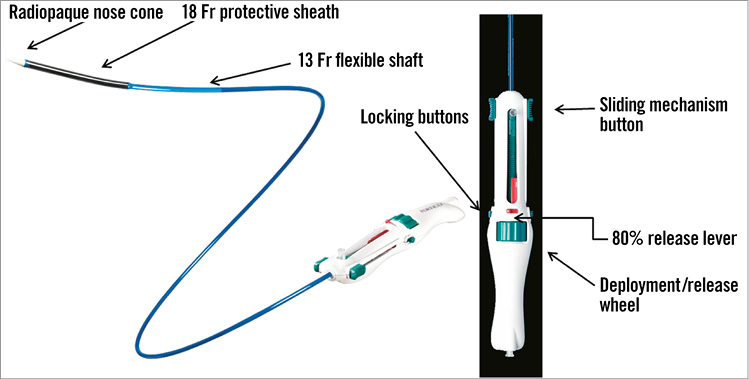 New-generation TAVI devices: description and specifications ...