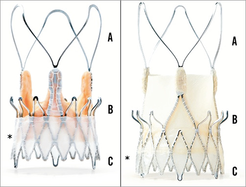 New-generation TAVI devices: description and specifications ...