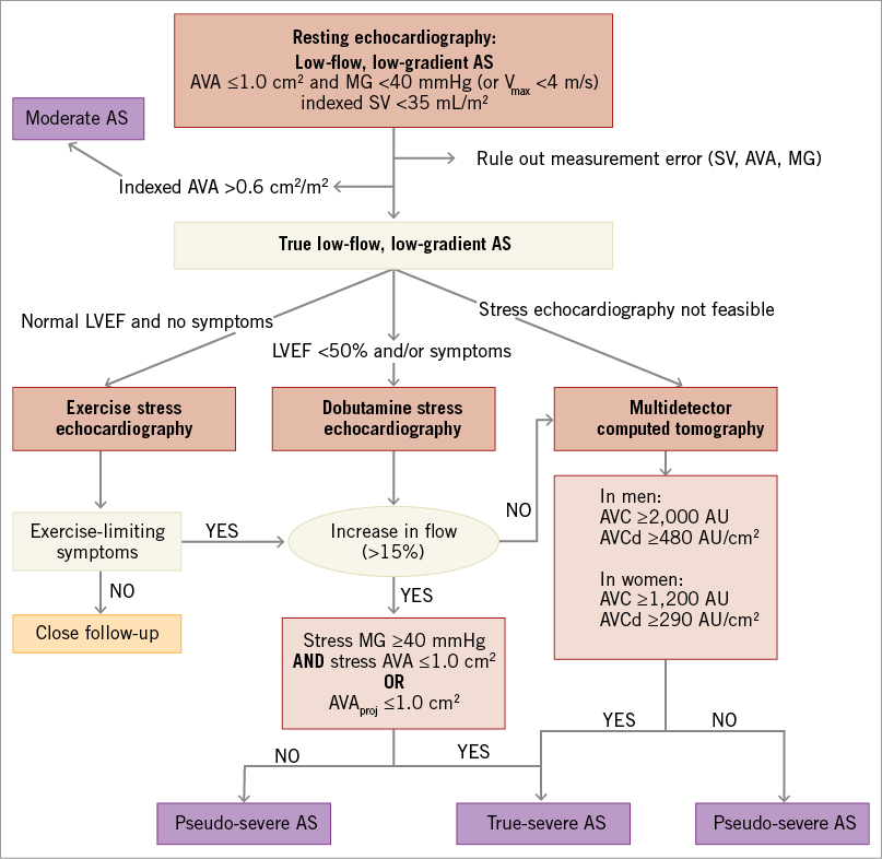 Assessment of low-flow, low-gradient aortic stenosis: multimodality ...